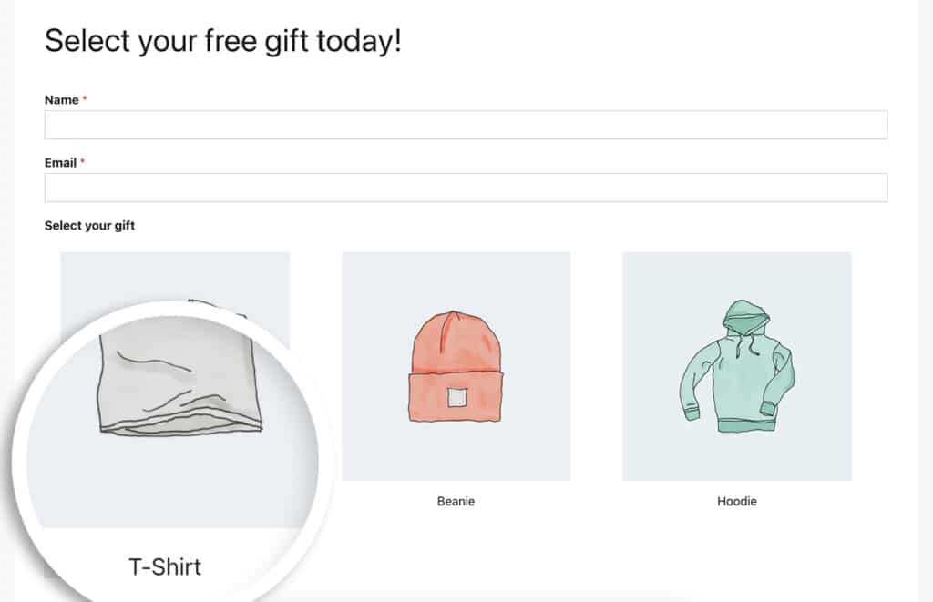 How to Hide Image Choice Labels with WPForms and CSS