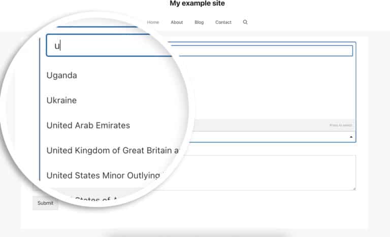 How To Customize The Modern Dropdown Field In Wpforms 8151