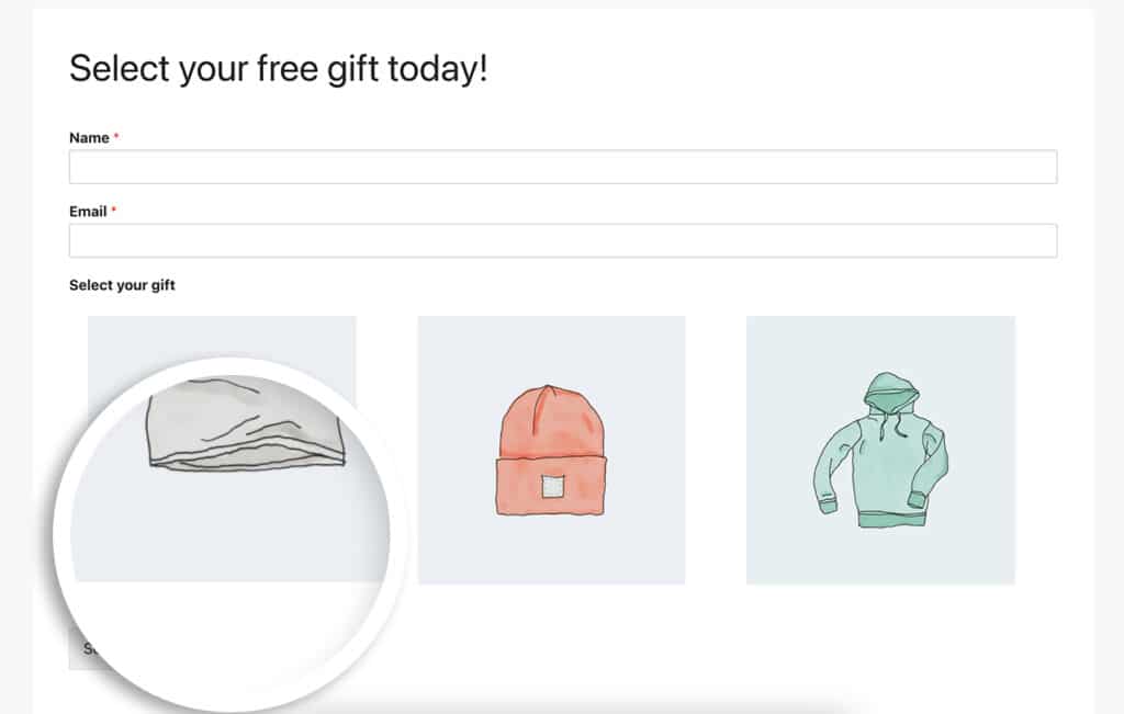 How to Hide Image Choice Labels with WPForms and CSS