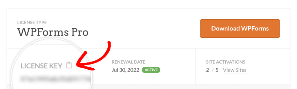 How to Preview a Form Entry Before Submitting It (the EASY way)