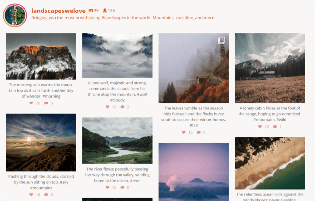 How to Embed an Instagram Feed on Your WordPress Site