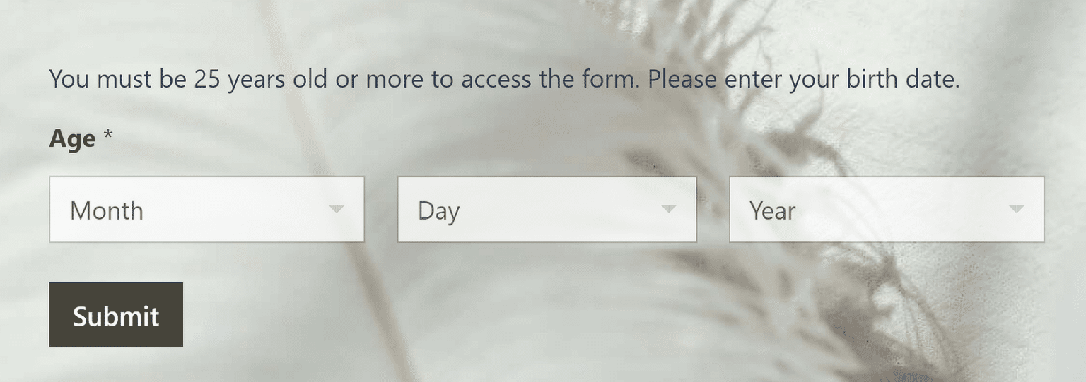 6 Best Age Verification Plugins for WordPress [Free + Paid]