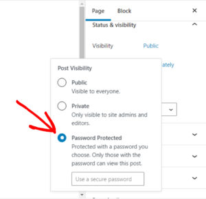How to Make a Password Protected Form in WordPress