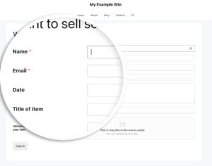 How to Style the Form Labels Beside the Fields Using CSS