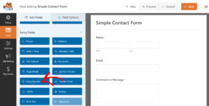 How to Preview a Form Entry Before Submitting It (the EASY way)