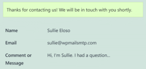 How to Preview a Form Entry Before Submitting It (the EASY way)