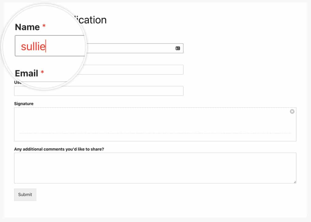 How to Customize the Styling of Text-Based Form Fields