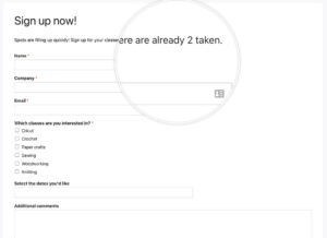 How to Display Entry Submissions Count for a Specific Form