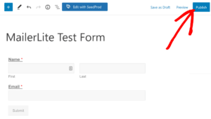 How to Create a MailerLite Contact Form in WordPress [5 Steps]