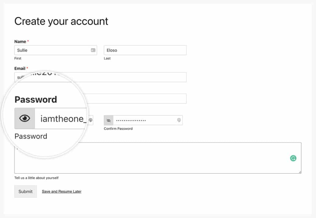 How to Add a Password Visibility Toggle Button to your forms