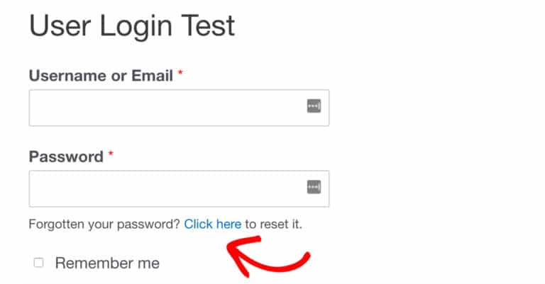 How To Customize The Wordpress Password Reset Form