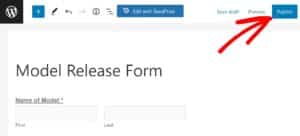How to Make an Online Model Release Form in WordPress (2024)