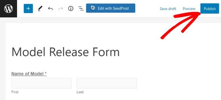 How to Make an Online Model Release Form in WordPress (2024)
