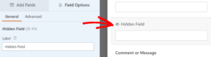 What Is a WPForms Hidden Field?