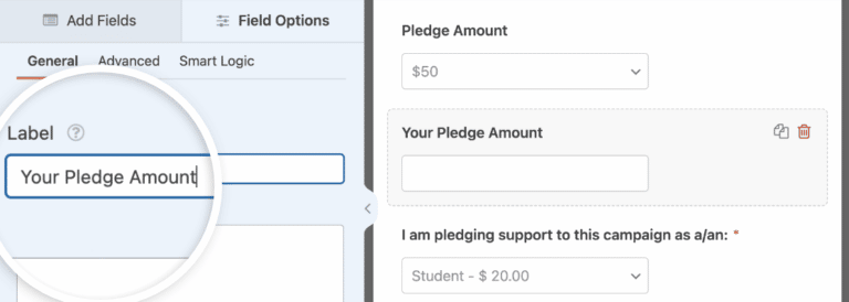 How to Make an Online Pledge Form in WordPress (Easily)
