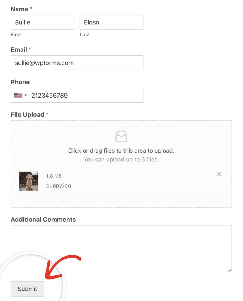 How to Add a Dropbox Upload Form to Your WordPress Website