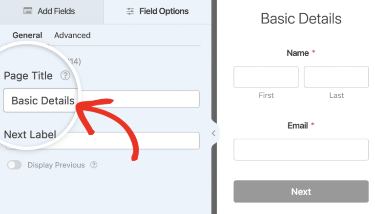 Lead Forms Addon - WPForms