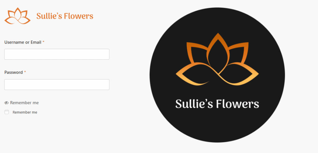 7 Login Page Examples [Easy to Copy]