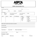 11 Intake Form Examples You Can Use as Inspiration