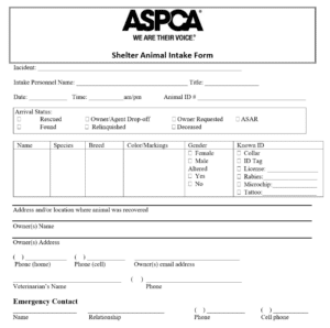 11 Intake Form Examples You Can Use as Inspiration