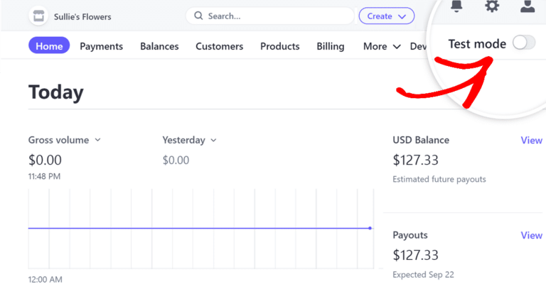 Setting Up Stripe Webhooks Developer Mode 