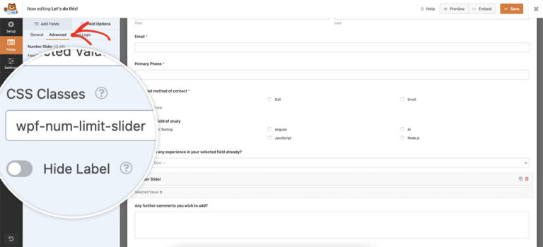 How to Customize the Number Slider