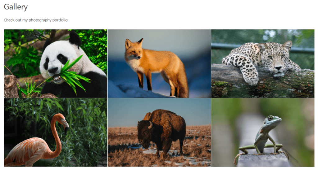 How to Create an Image Gallery in WordPress
