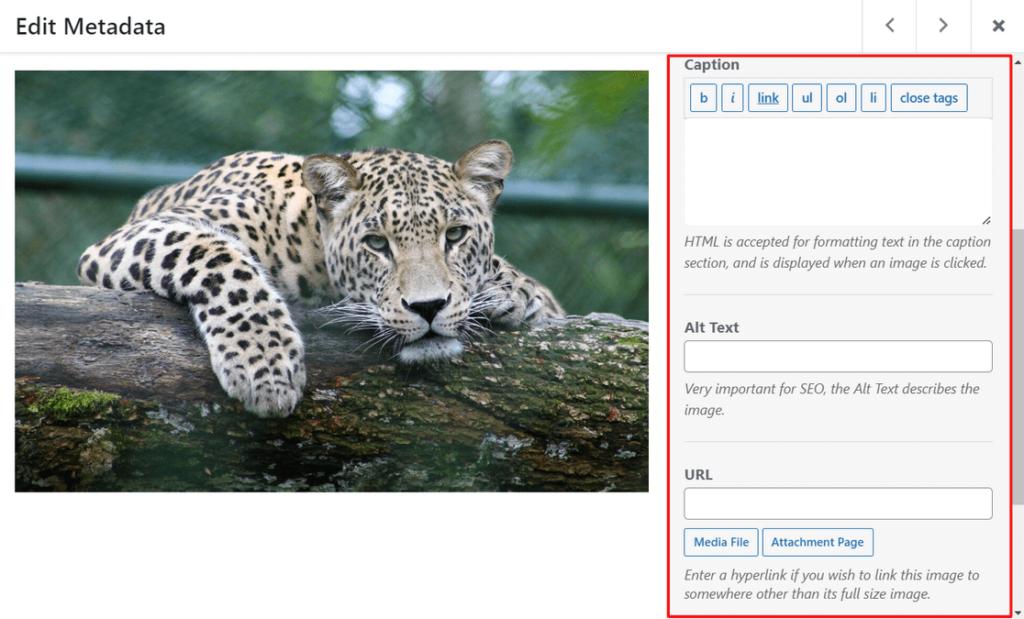How to Create an Image Gallery in WordPress