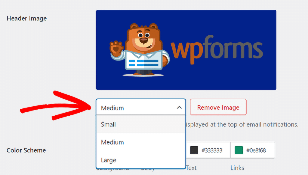 How to Make a Custom Email Template in WordPress
