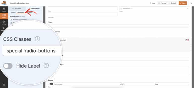 How to Customize the Multiple Choice Field Styles