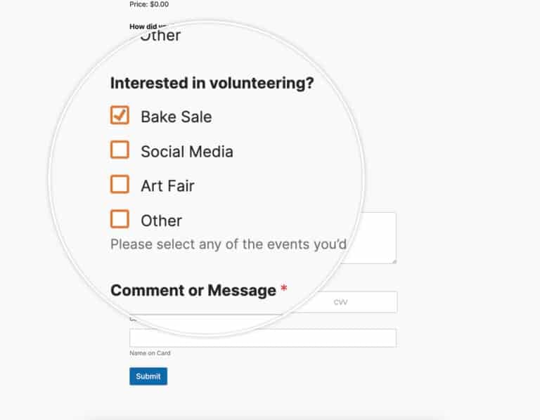 How To Customize The Checkbox Field Styles