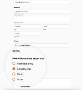 How to Customize the Multiple Choice Field Styles