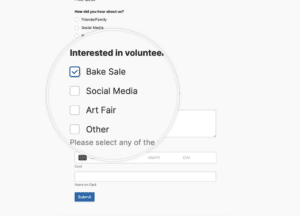 How to Customize the Checkbox Field Styles