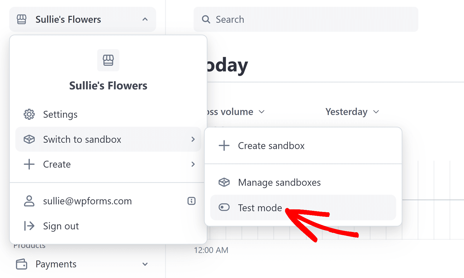 Testing Stripe Payments