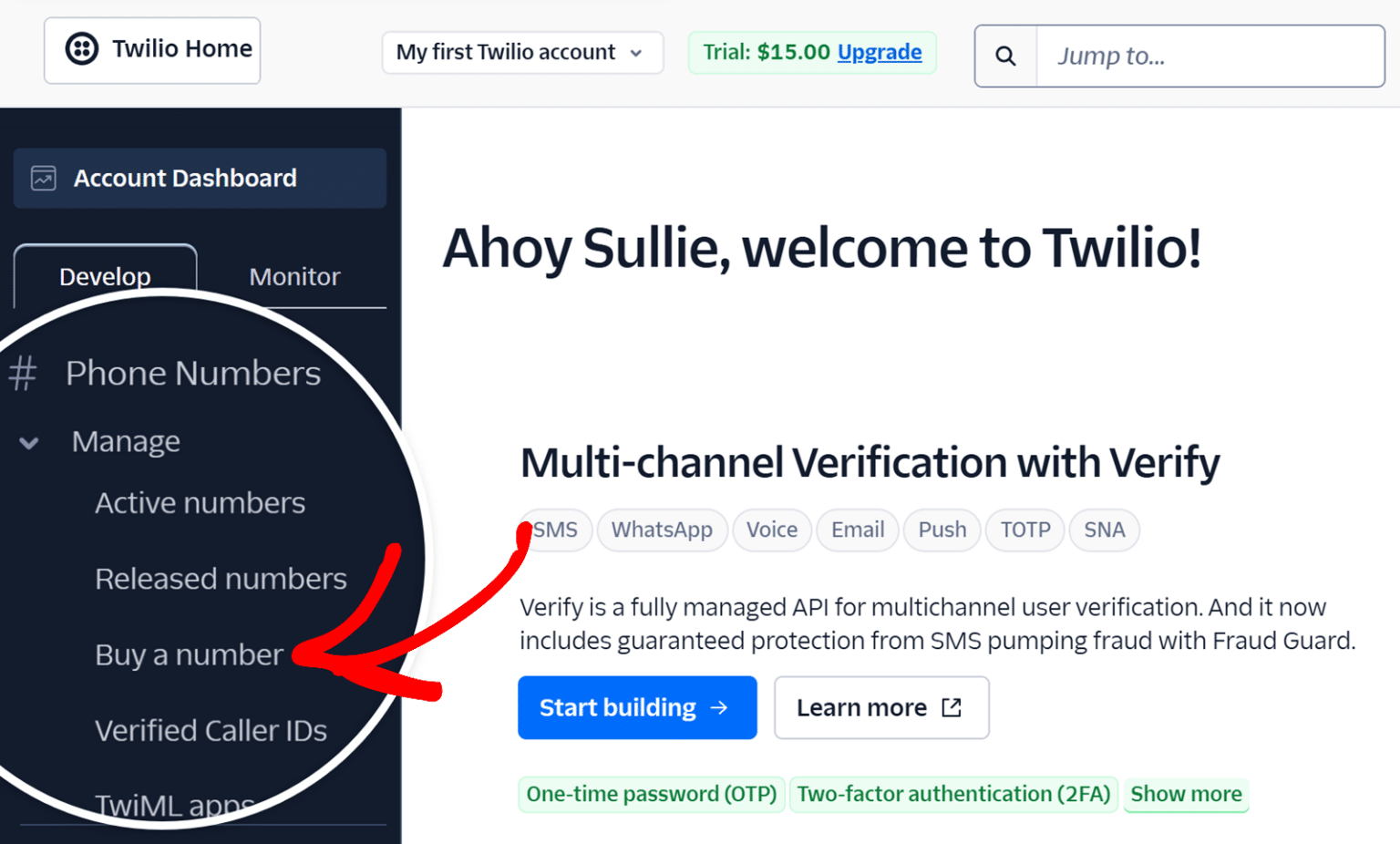 Twilio Addon - WPForms