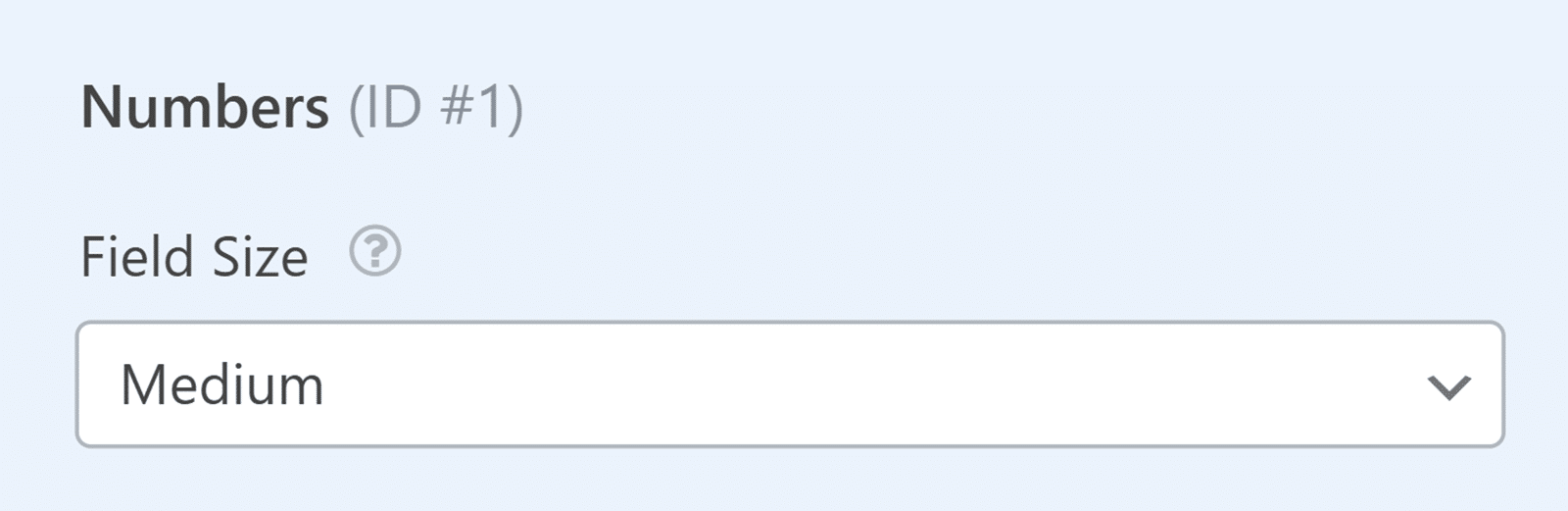 Using the Numbers Field - WPForms