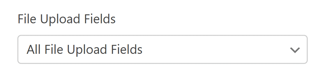 Google Drive Addon - WPForms