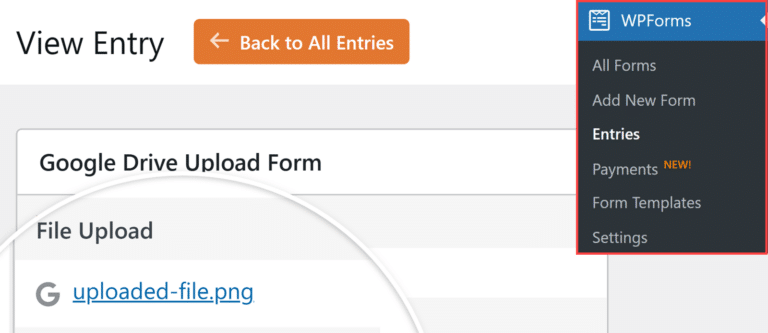Google Drive Addon - WPForms
