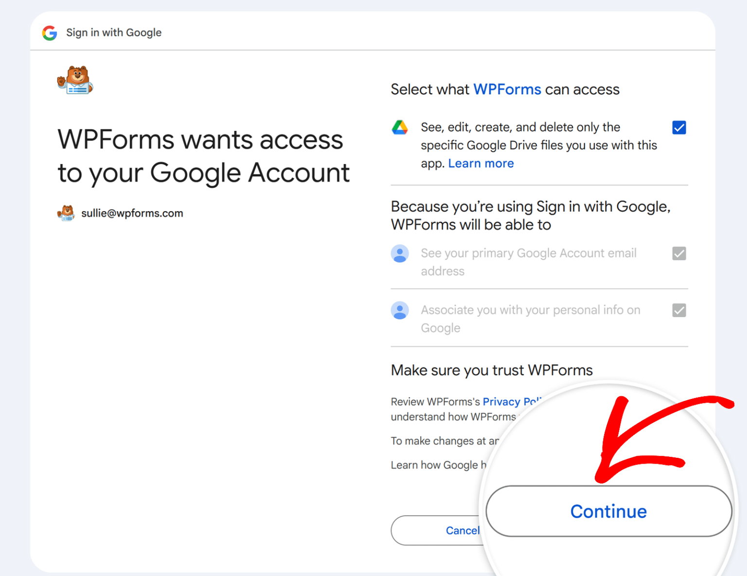 Google Drive Addon - WPForms