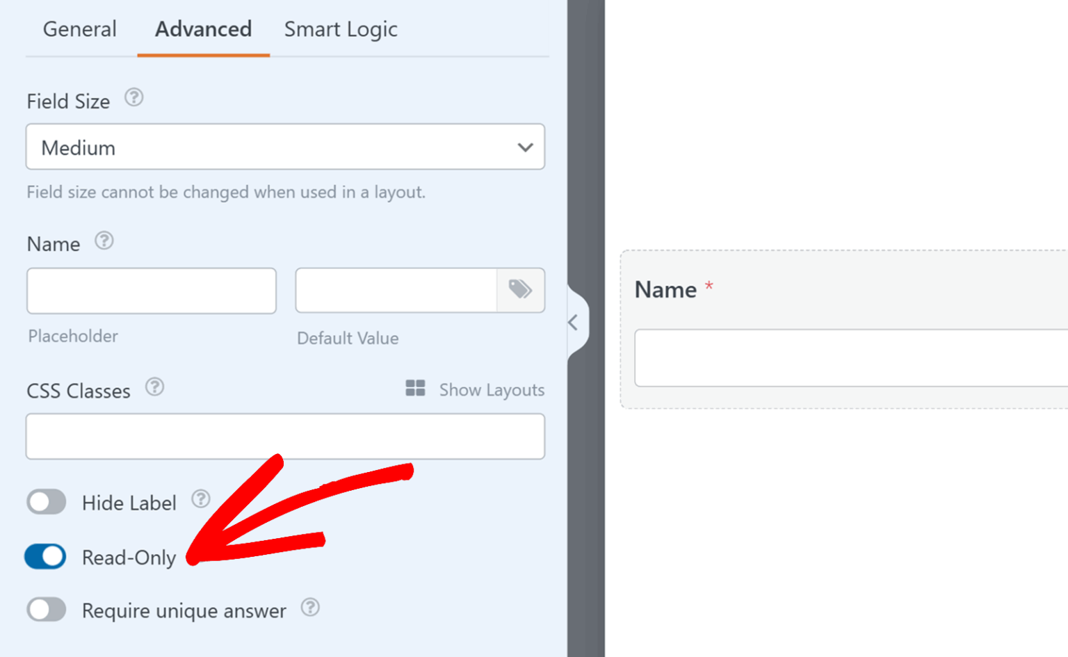 How to Customize Form Field Options